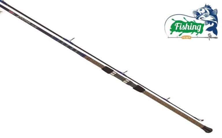 Best surf fishing rods amazing collection are available in 2025