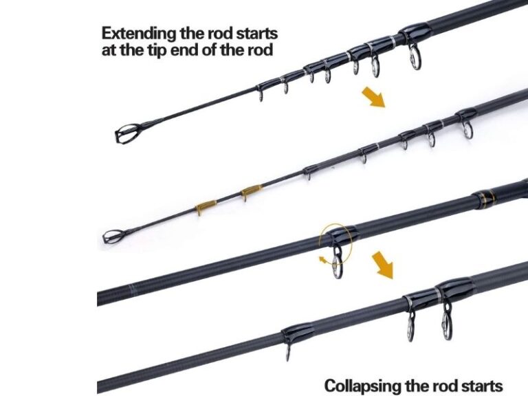 10 Best Spinning Rod Under 100 | No One Ever Said