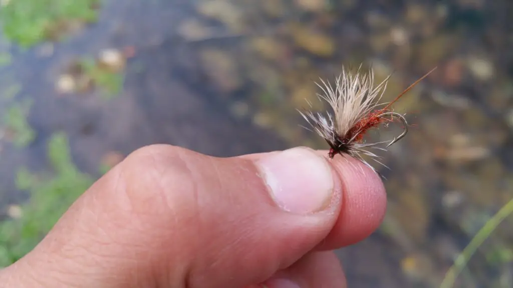 Best Fly Fishing Flies - Top Picks for Success